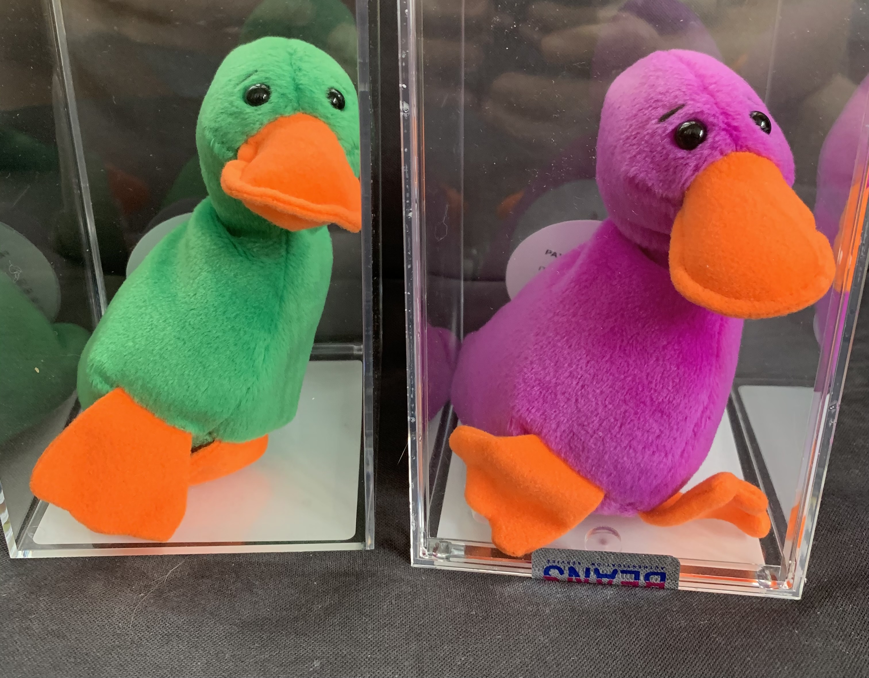 Wingless Quacker(s) the duck Protoype: SPRING GREEN – Rarest Beans