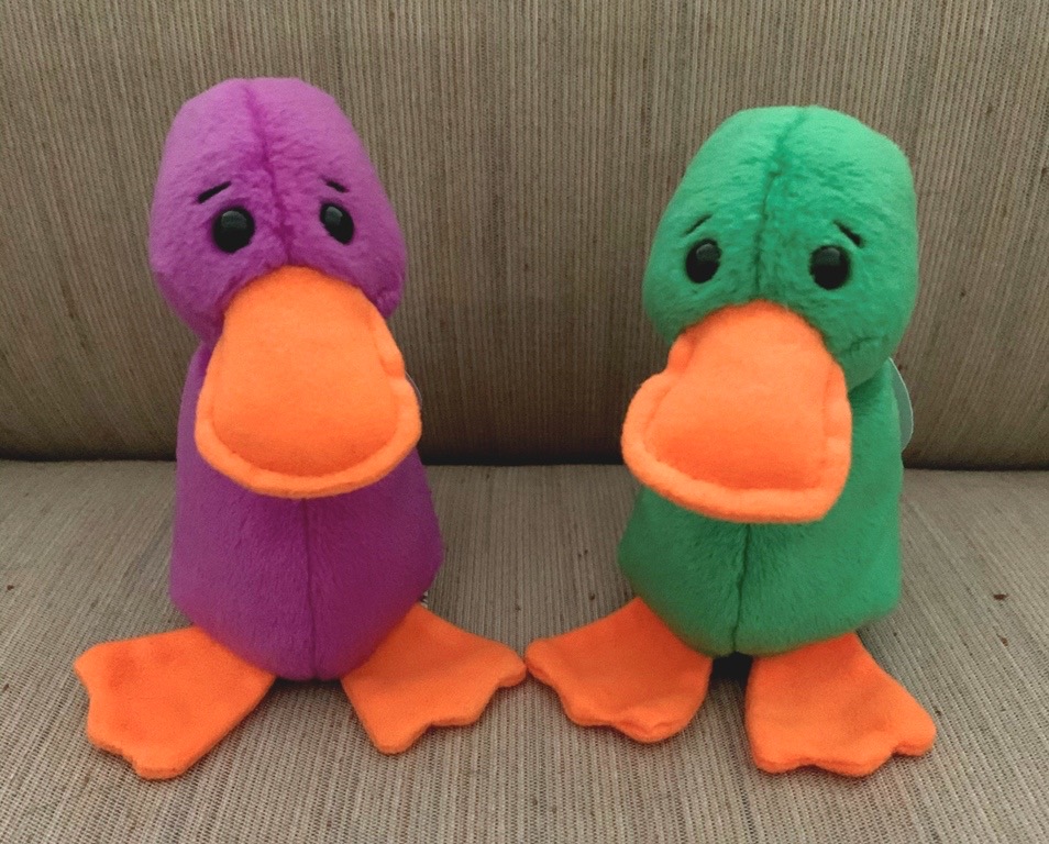 Wingless Quacker(s) the duck Protoype: SPRING GREEN – Rarest Beans