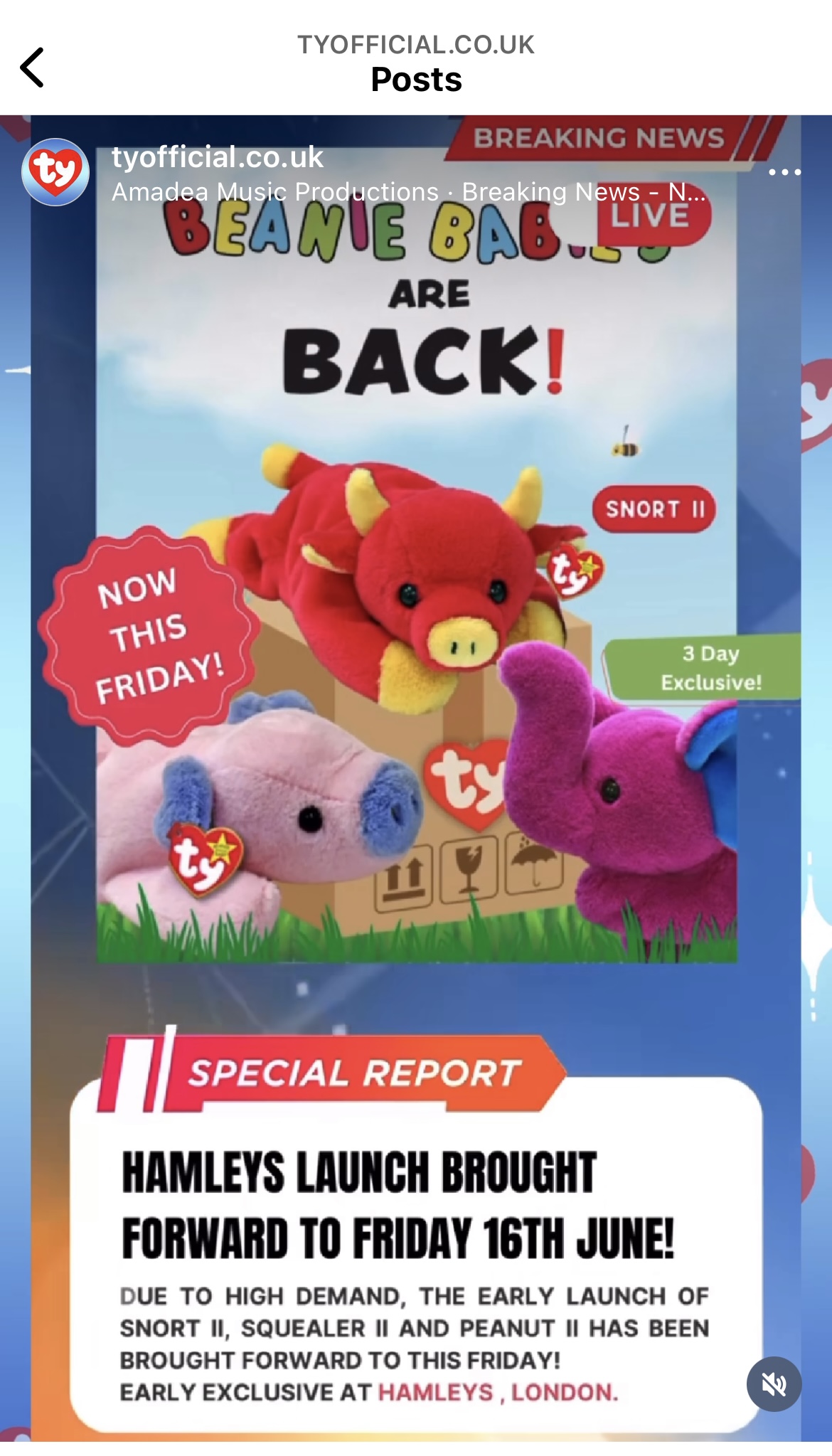 Set 2: 30th Anniversary Limited xx/30 Series II Beanies: Peanut II ...